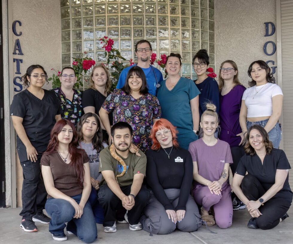 Veterinarian In Las Vegas, NV 89110 | Animal Kindness Veterinary Hospital